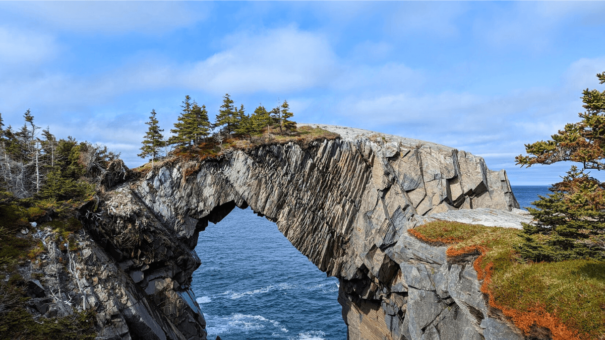 Visiter Terre Neuve : 25 incontournables pour votre voyage